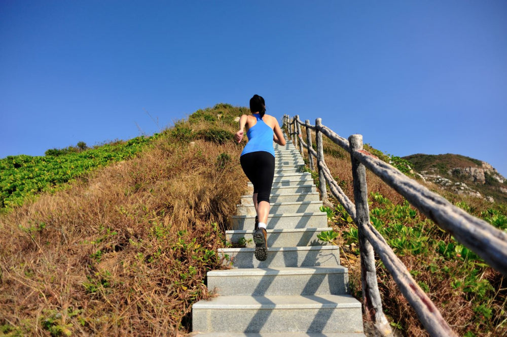 Getting Back on Track – BSc